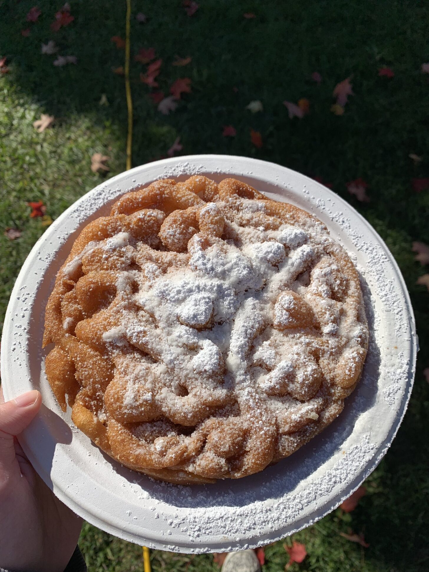 Homemade funnel cake – EASY HOMEMADE RECIPES